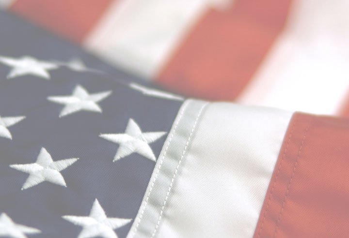 Hamilton Patriotic Pins – Hamilton Insignia