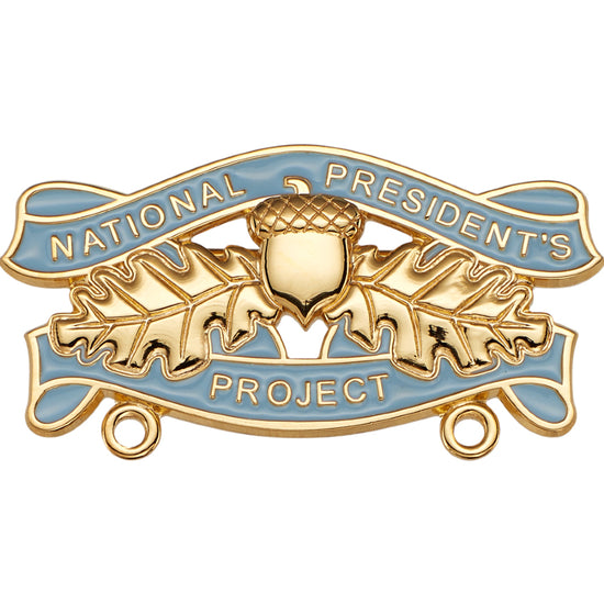 National President Project Pin – Hamilton Insignia
